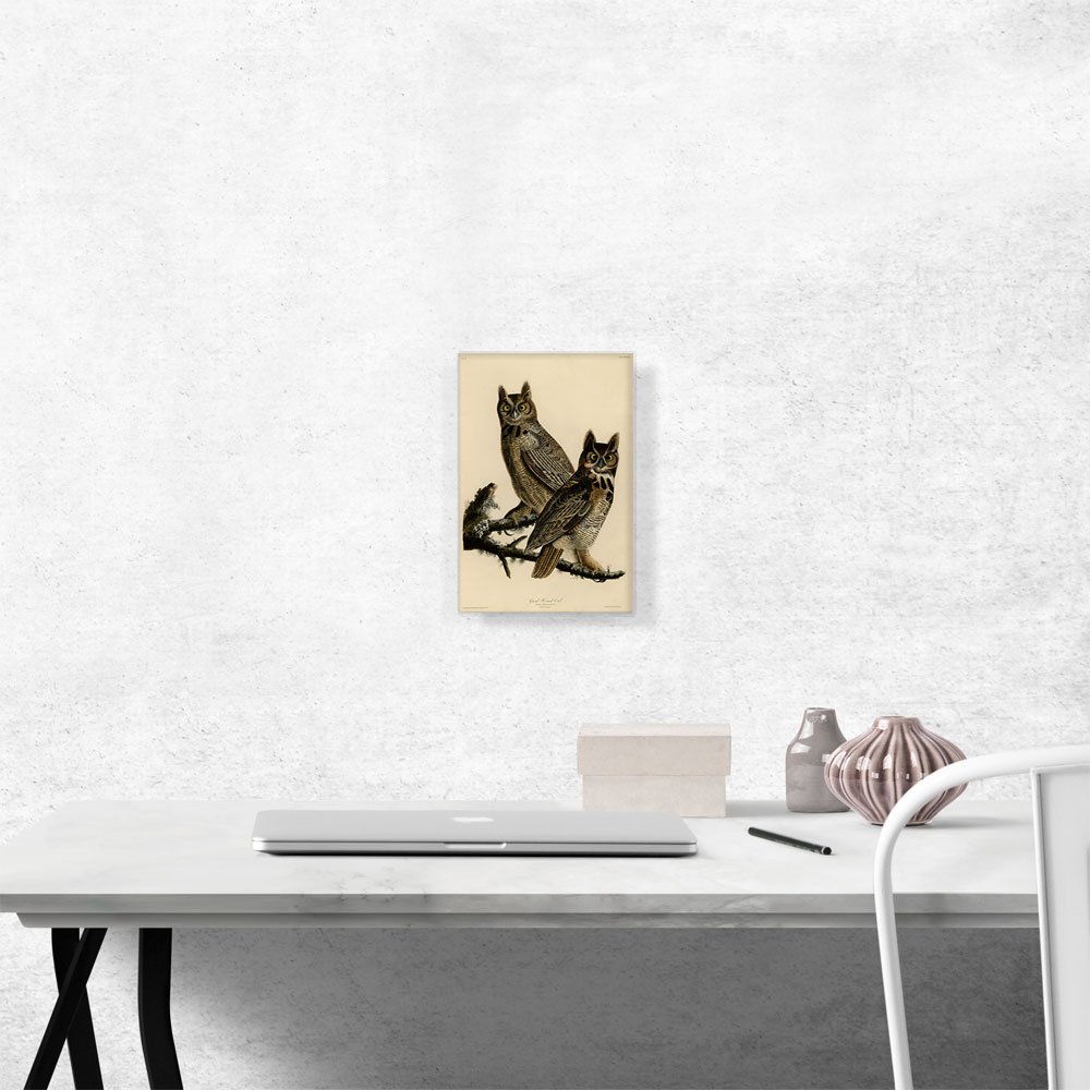 ARTCANVAS Great Horned Owl Canvas Art Print Stretched Framed Painting Picture Poster Giclee Wall Decor by John James Audubon - 12" x 8" (0.75" Deep)