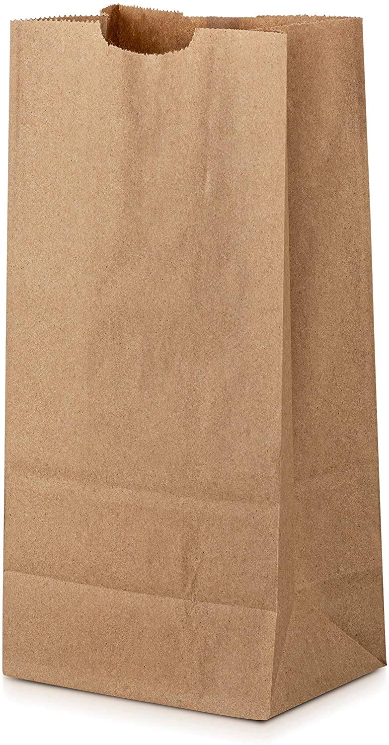 Black Duck Brand Kraft Paper Lunch Bags (30 Bags)