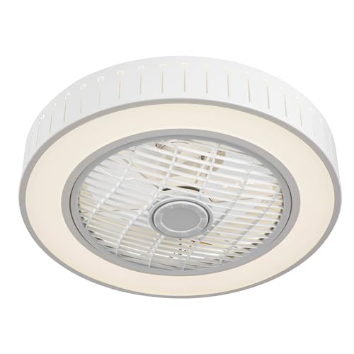 Ceiling Fan Light, Remote Control LED Lamp, Intdoor Round Dimmable 6 Wind Speeds Ceiling Fan with 5 Blades for Living Room, Dining Room, Foyer, Cottage, Bedroom, Dining Room, Study