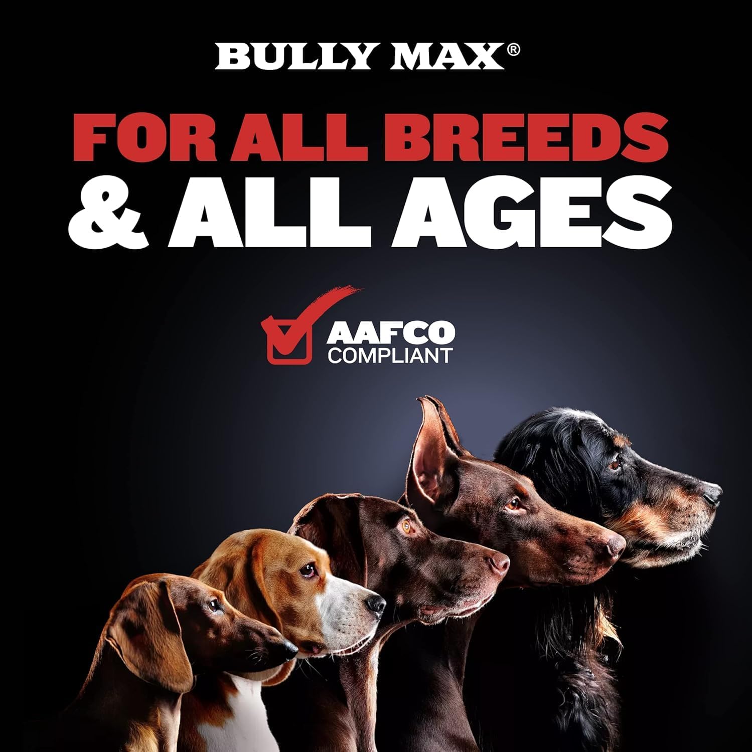 Bully Max 2-in-1 Muscle Builder Chewable Tablets for Puppies & Adult Dogs - Ultimate Canine Dog Supplement for Muscle Gain - 60 Tabs