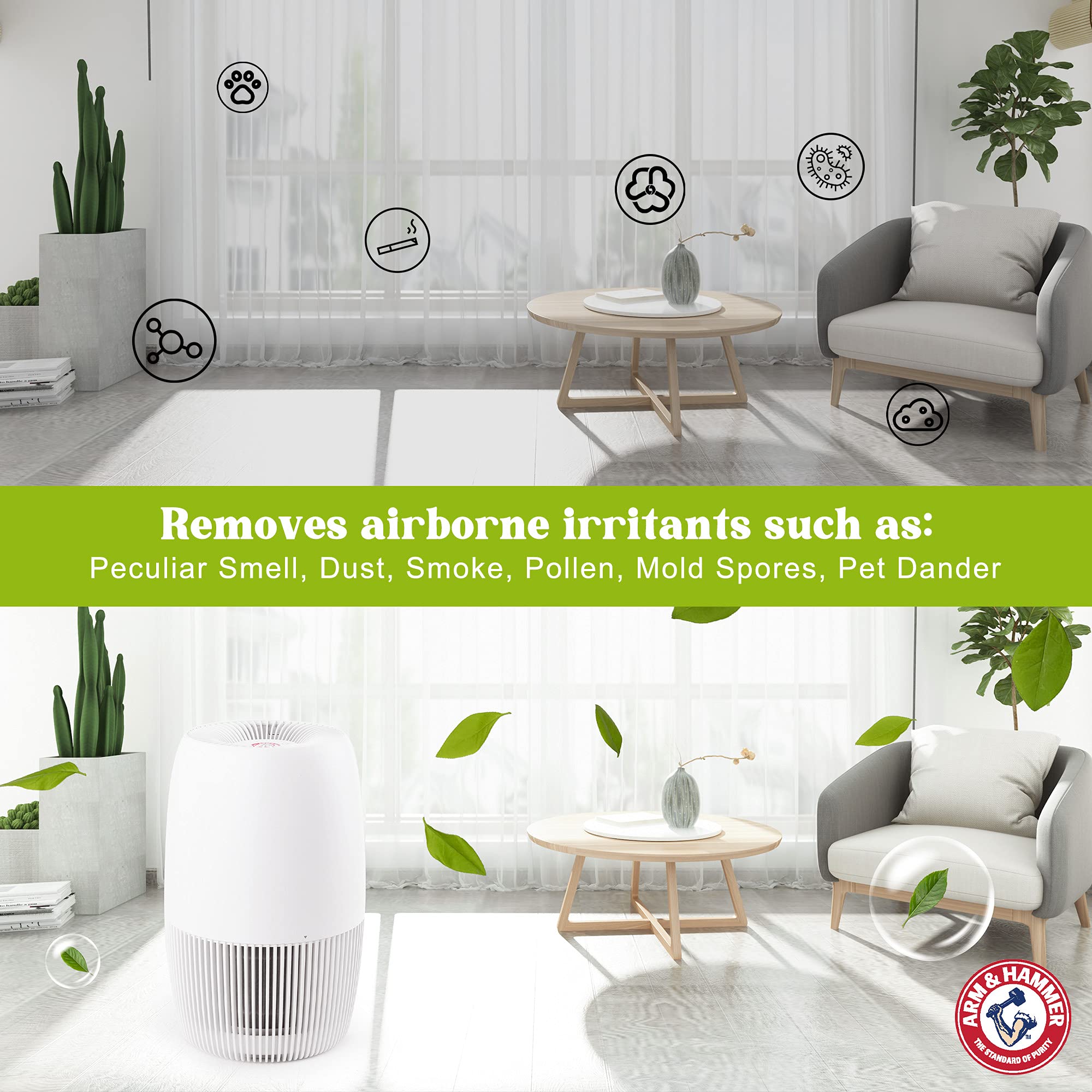 Arm & Hammer, AH301W HEPA Air Purifier for Home Office, Desktop Air Cleaner Removes 99.97% Allergies, Smoke, Dust, Pollen, Pet Dander, Odor, Germs, Mold, Pearl White