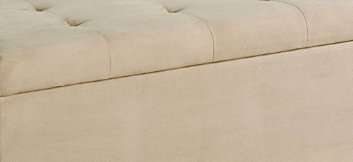 Linon Carmen Shoe Storage Ottoman, 20" x 48" x 20", Beige