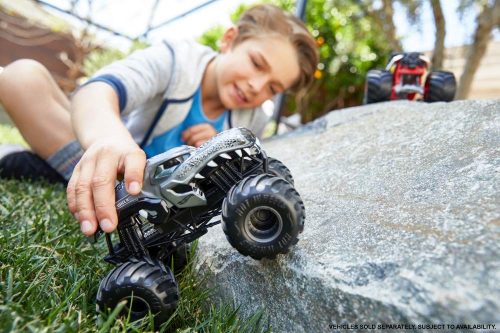Hot Wheels Monster Trucks 1:24 Scale Pizza Co Vehicle for Kids Age 3 4 5 6 7 8 Years Old Great Gift Toy Trucks Large Scales