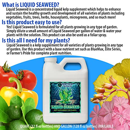 Liquid Seaweed for Plants (32 oz) Quart | Concentrated Liquid Kelp Supplement | Makes UP to 470 GALLONS | for All Plants & Gardens | Blue Planet Nutrients