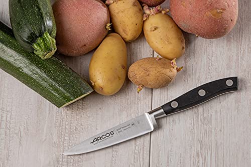 ARCOS Paring Knife 4 Inch Stainless Steel. Kitchen Knife for Peeling Fruits and Vegetables. Ergonomic Polyoxymethylene Handle and 100mm Blade. Series Riviera. Color Black