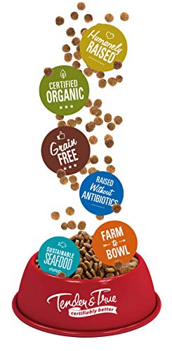 Tender & True Antibiotic-Free Turkey & Brown Rice Recipe Cat Food, 3 Pound(Pack of 1)