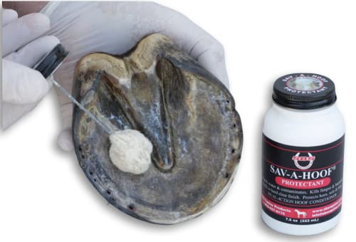 SAV-A-HOOF PROTECTANT by SBS Equine , Dual-Action Hoof Conditioner, Antiseptic Barrier Against Infection, Repels Moisture & Contaminates, 7.5 fl. oz.