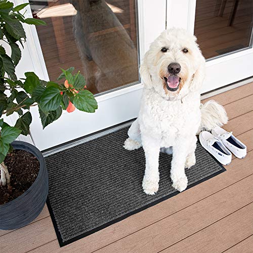 Notrax 109 Brush Step Carpeted Entrance Mat for Home or Office, 2' X 3', Charcoal, 109S0023CH