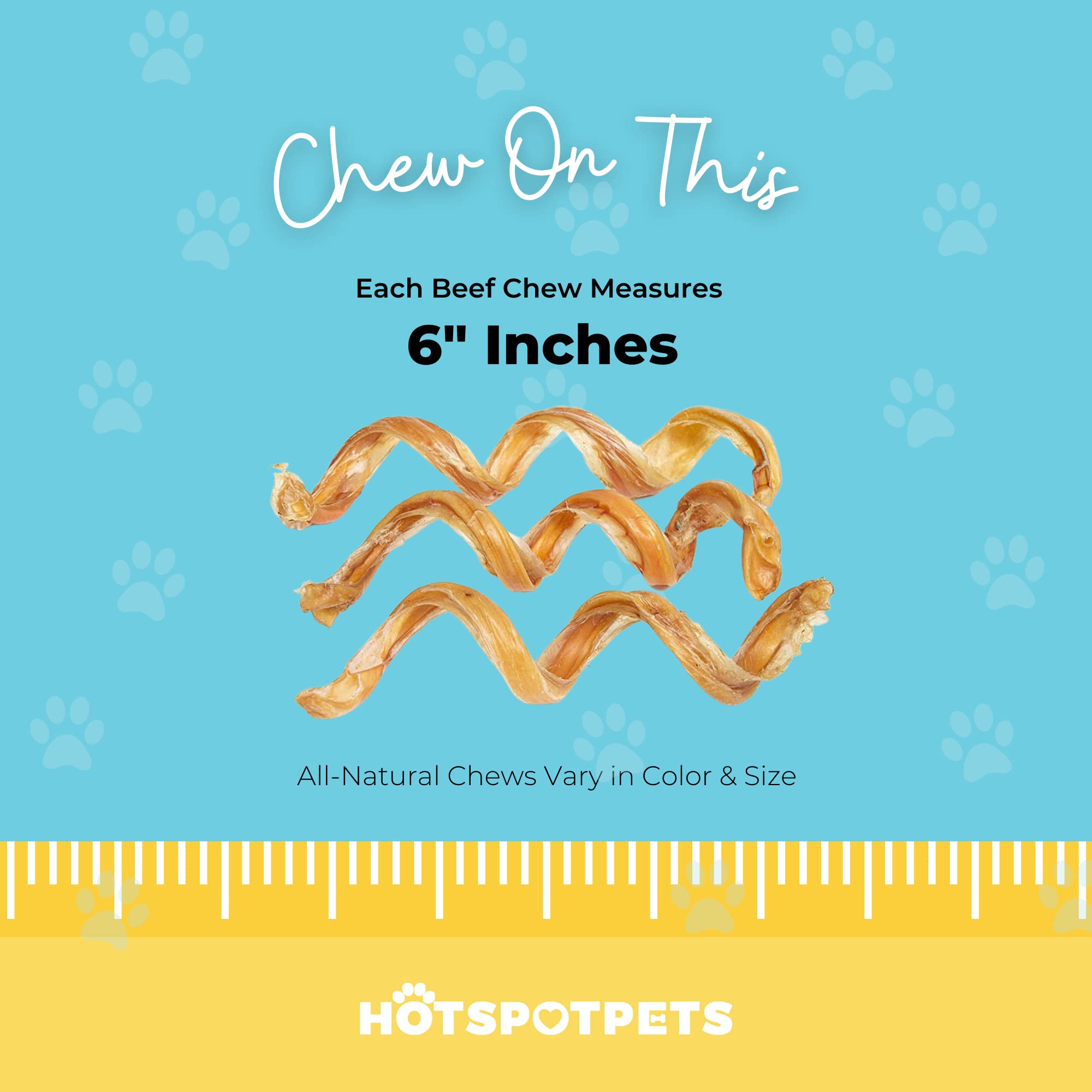 hotspot pets Spring Bully Sticks for Dogs - (12 Pack) Premium All Natural Long Twisted Beef Pizzle Dog Chew Treats - Grain Free Fully Digestible Rawhide Alternative - 6 Inch Stix