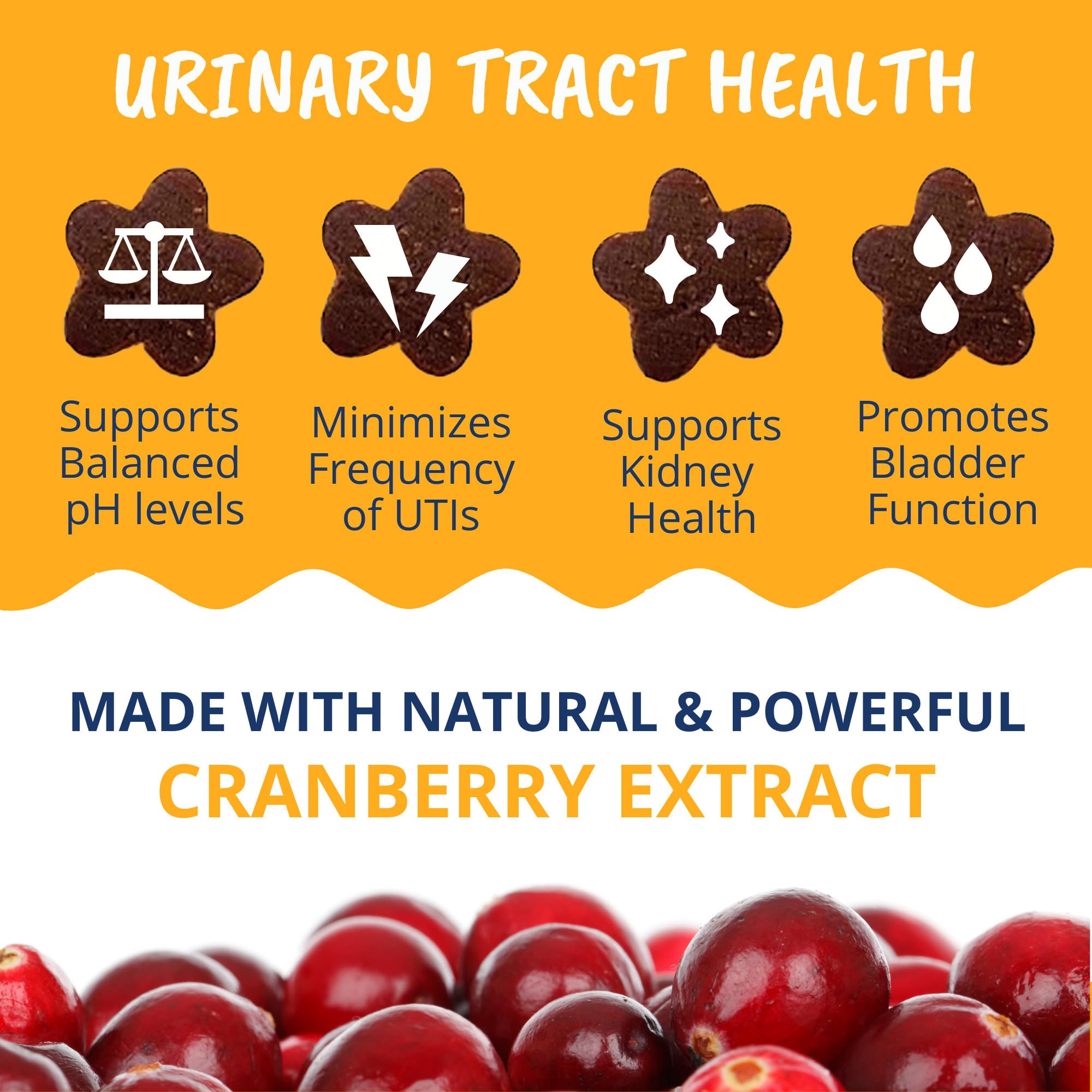 Under The Weather Pet Urinary Tract Support Chews for Cats | Promote Healthy Urinary Function in Cats | 60 Star Shaped Soft Chews