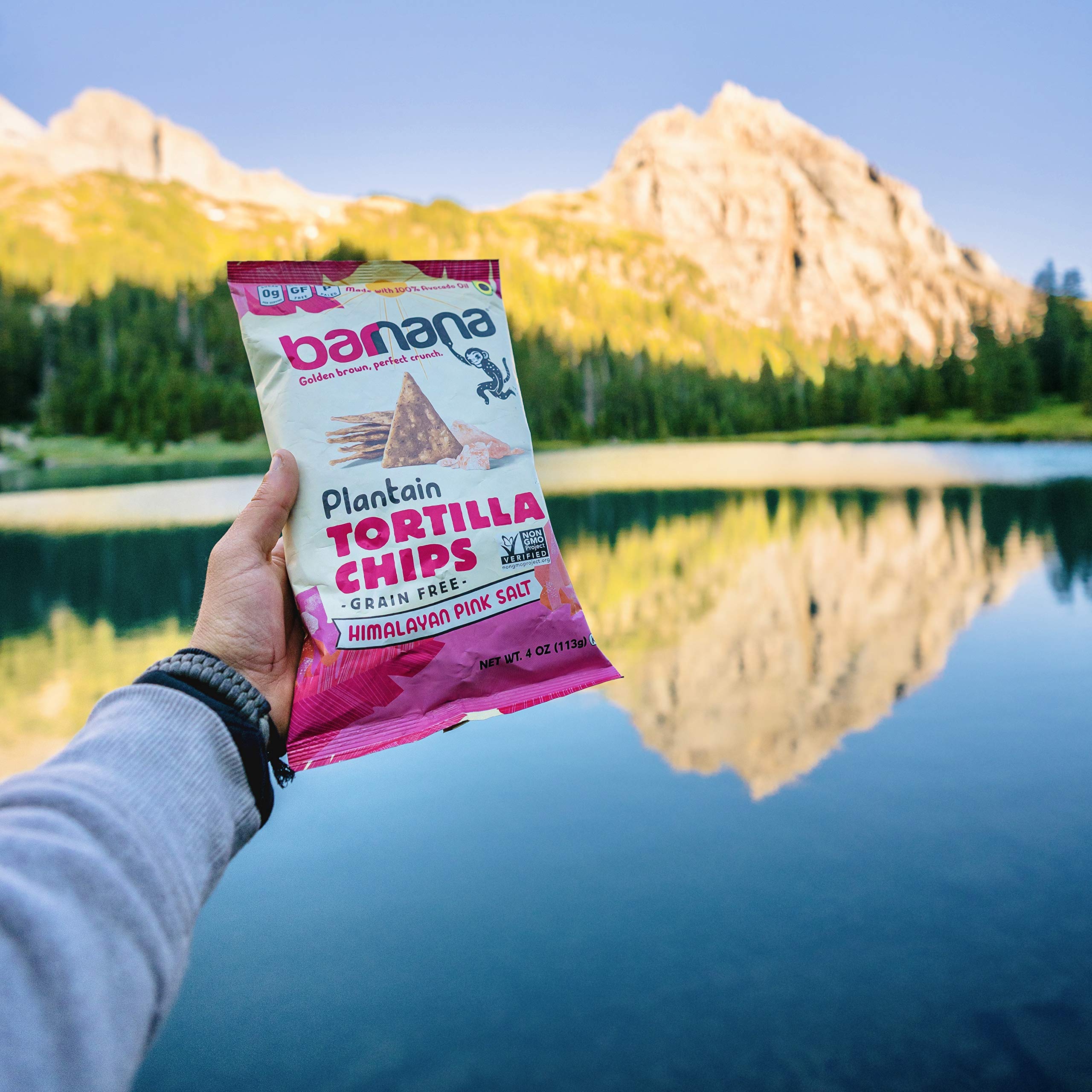 Barnana Grain-Free Plantain Tortilla Chips β Himalayan Pink Salt β 4 Ounce, 1 Pack β Gluten-Free, Corn-Free, Paleo β Golden Brown, Perfect Crunchy Snack - Made With 100% Avocado Oil