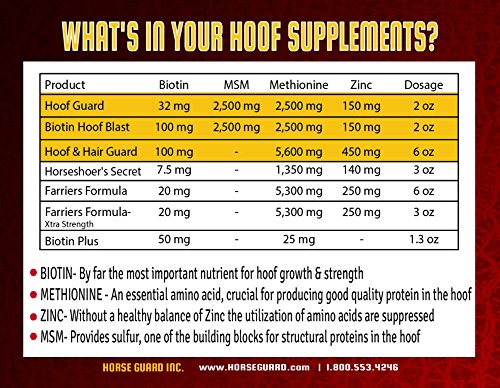 Hoof & Hair Guard 10 lb, Equine Hoof Strengthening & Coat Conditioning Supplement