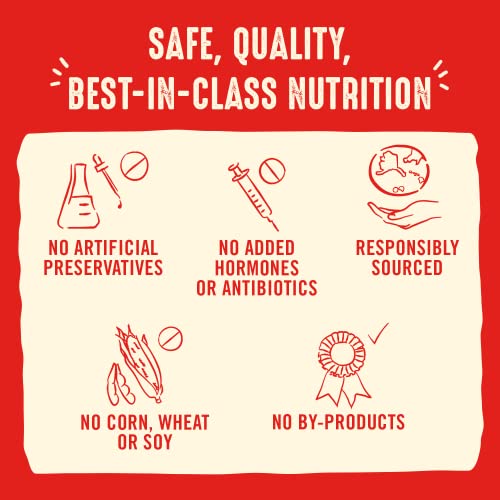 Stella & Chewy’s Freeze Dried Raw Dinner Patties – Crafted for Puppies – Grain Free, Protein Rich Perfectly Puppy Chicken & Salmon Recipe – 14 oz Bag