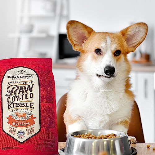Stella & Chewy's Raw Coated Beef Recipe Dog Food 10lb