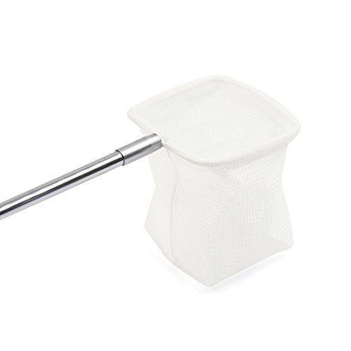 Upettools Fish Shrimp Skimming Net Fine Mesh Extendable Stainless Steel Handle Fishing Net for Aquarium Fish Tank Pond Creek