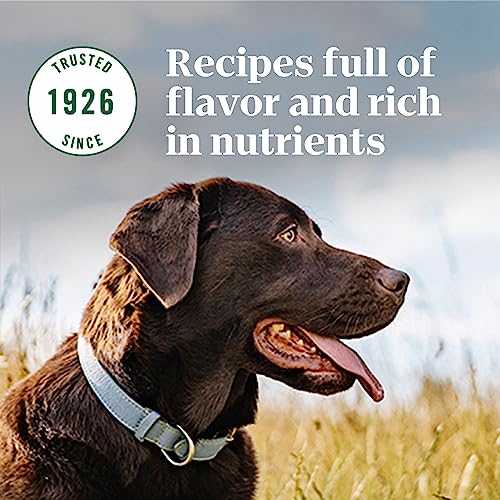 NUTRO NATURAL CHOICE Adult Dry Dog Food, Lamb & Brown Rice Recipe Dog Kibble, 5 lb. Bag