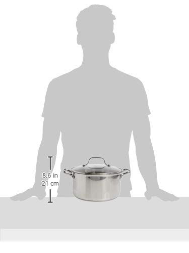 T-fal E75846 Performa Stainless Steel Dishwasher Safe Induction Compatible Dutch Oven Cookware, 5.5-Quart, Silver