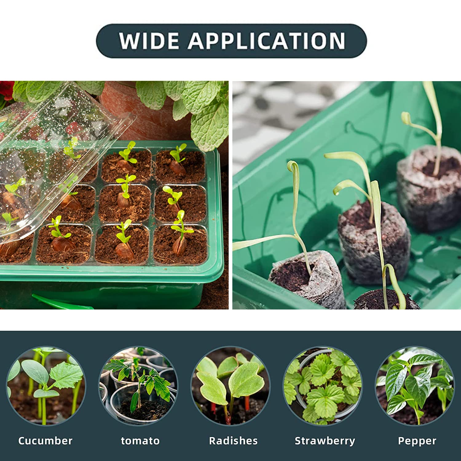 ANTUGLBAR Seed Starter Tray with Grow Light 5 Packs Seedling Starter Trays, Seed Starting Trays Kit High Humidity Dome Indoor Gardening Plant Germination Trays 60 Cells