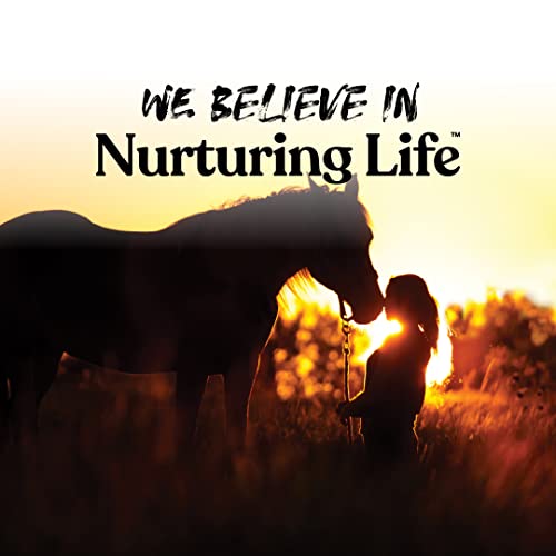 Manna Pro Apple Wafers β Treats for Horses β Packed with Vitamins & Minerals β Apple Flavored Horse Treats β 20 Pounds
