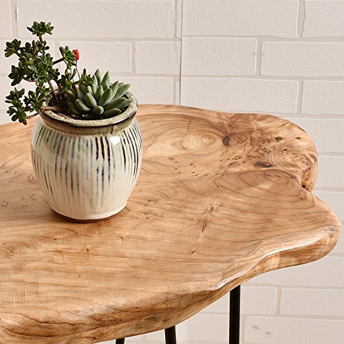WELLAND Natural Edge End Table, Wood Side Table, Nightstand, Plant Stand 20.5" Tall,Unique Desktop