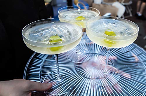 Luigi Bormioli Vinea 10.25 oz Cocktail Glasses, Set of 2, Clear