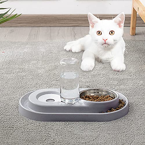 Double Dog Cat Bowls Water and Food Bowl Set,Detachable Stainless Steel Bowl Automatic Water Dispenser Bottle Pet Feeder for Small or Medium Size Dogs Cats Puppy Kitten Rabbit