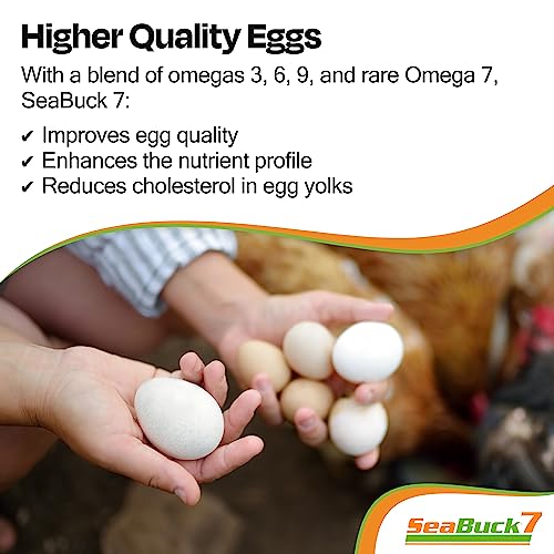 SeaBuck 7 Chicken & Bird Supplement with Sea Buckthorn to Improve Egg Quality (1-Month Supply for 20 Chickens) – Earlier Laying, Egg Production Booster & Higher Quality Eggs
