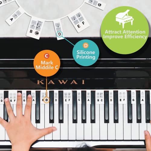 BMESSE The Alternative To Messy Piano Keyboard Stickers,No Glue,Easy Integral Installation With a Case (61)