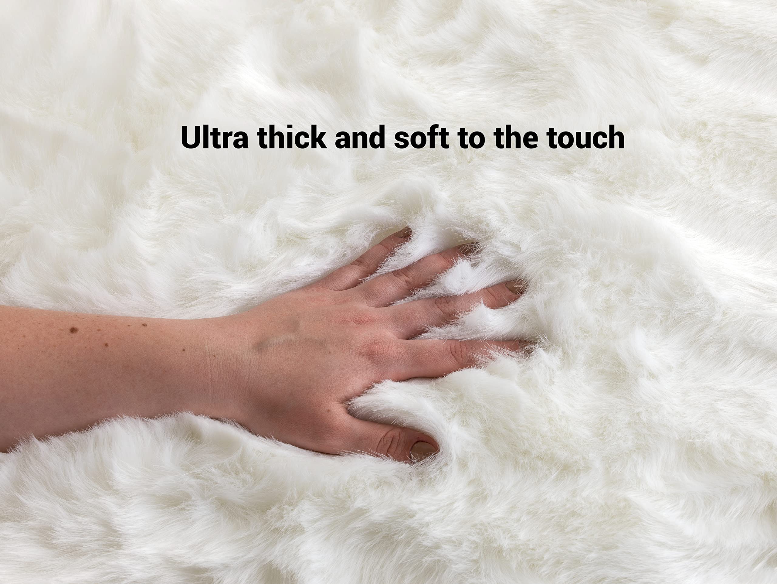 Chesserfeld Luxury Faux Fur Sheepskin Area Rug for Bedroom, Black, 4 x 6 with Thick Pile
