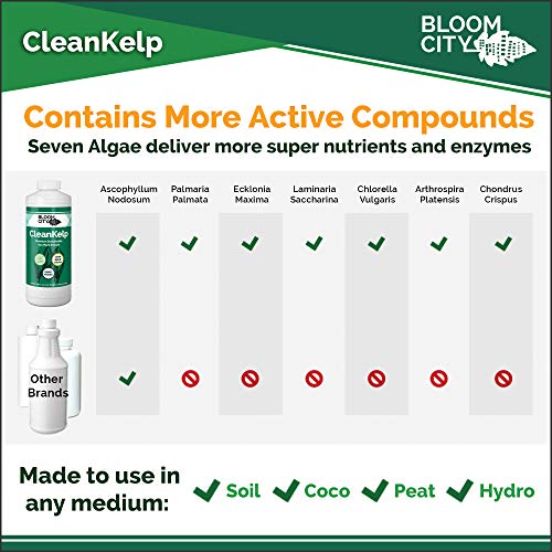 Organic Liquid Kelp Fertilizer - Seaweed Fertilizer for Plants - Concentrated Kelp & Seaweed Extract, Quart (32 oz) Makes 180 Gallons