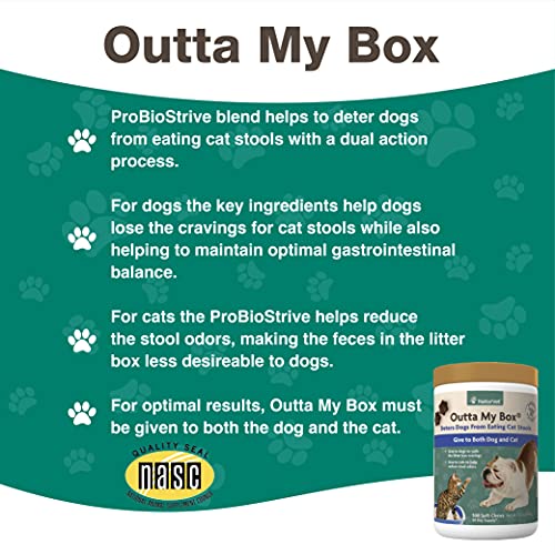 NaturVet – Outta My Box – 500 Soft Chews – Deters Dogs from Eating Cat Stools – Reduces Cat Stool Odors – For Dogs & Cats – 50 Day Supply