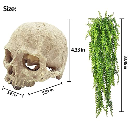kathson Reptile Habitat Skull Decoration Bearded Dragon Tank Accessories Resin Human Skulls Hide Cave Hanging Vines Plant for Lizards Tortoise Snake Chameleon Spider Reptiles Amphibians(4 PCS)