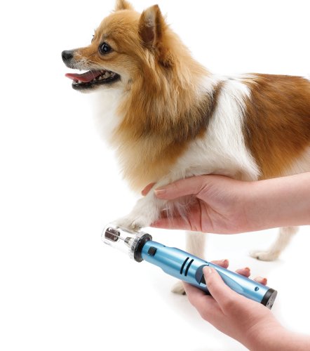 Oster Gentle Paws Less Stress Dog and Cat Nail Grinder, 2 Speed (078129-600-000)