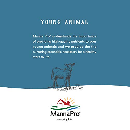 Manna Pro Calf Care Supportive Nutrition for Calves | Calf Milk Replacer | Formulated with Probiotics to Support Healthy Gut and Digestion | 1lb