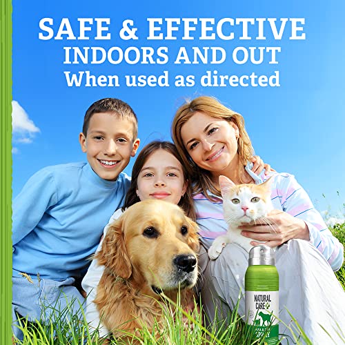 Natural Care Flea and Tick Spray for Dogs and Cats | Flea Treatment for Dogs and Cats | Flea Killer with Certified Natural Oils | 14 Ounces