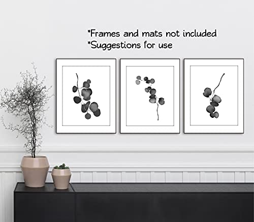 Black And White Wall Art - Eucalyptus Leaves - Botanical Art Prints - Minimalist Pictures - Set of 3-8x10 - Unframed