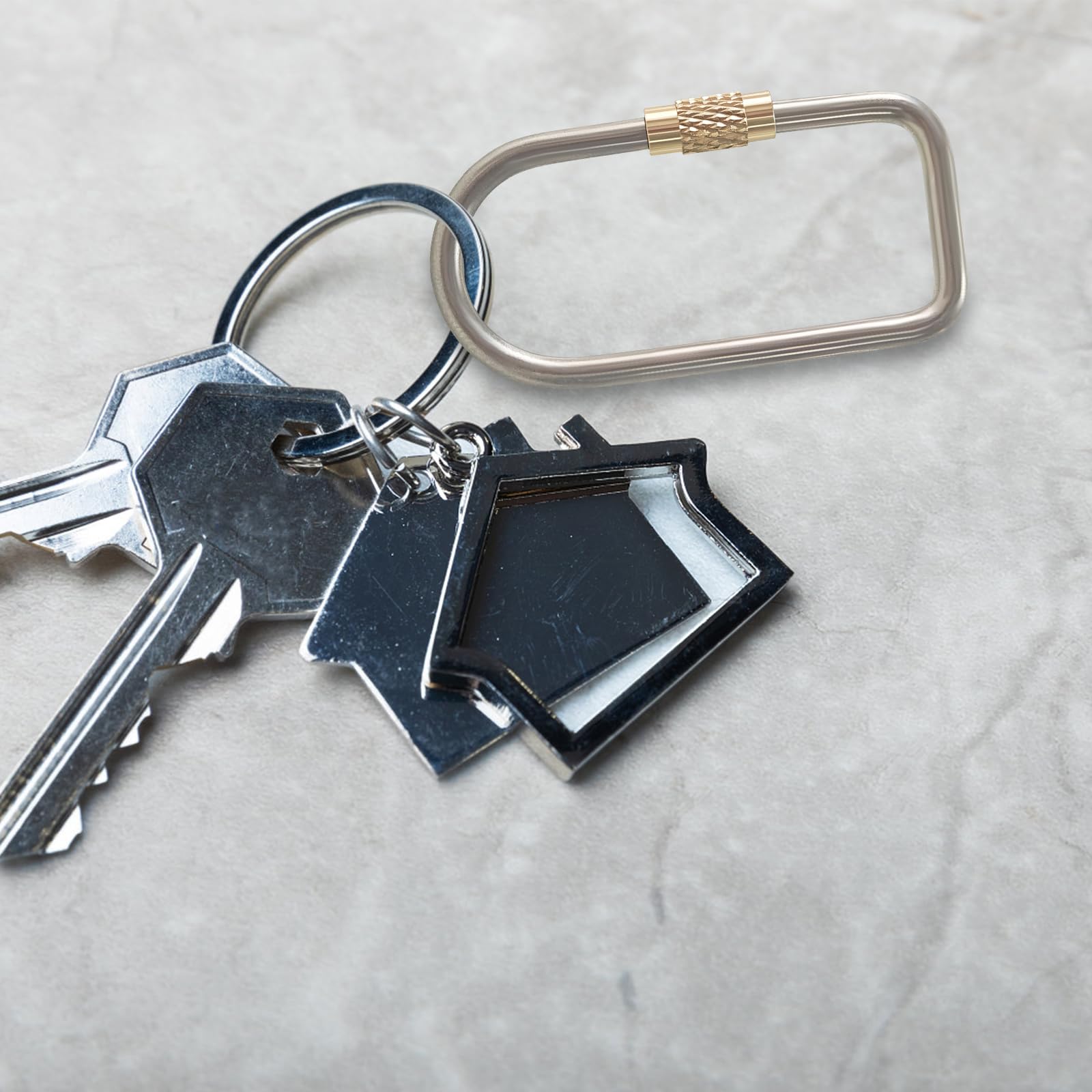 BAMI-LEE House 2 Pcs Titanium Locking Carabiner Titanium Alloy U-shaped Key Chains Rings Buckles for Indoor Outdoor Use