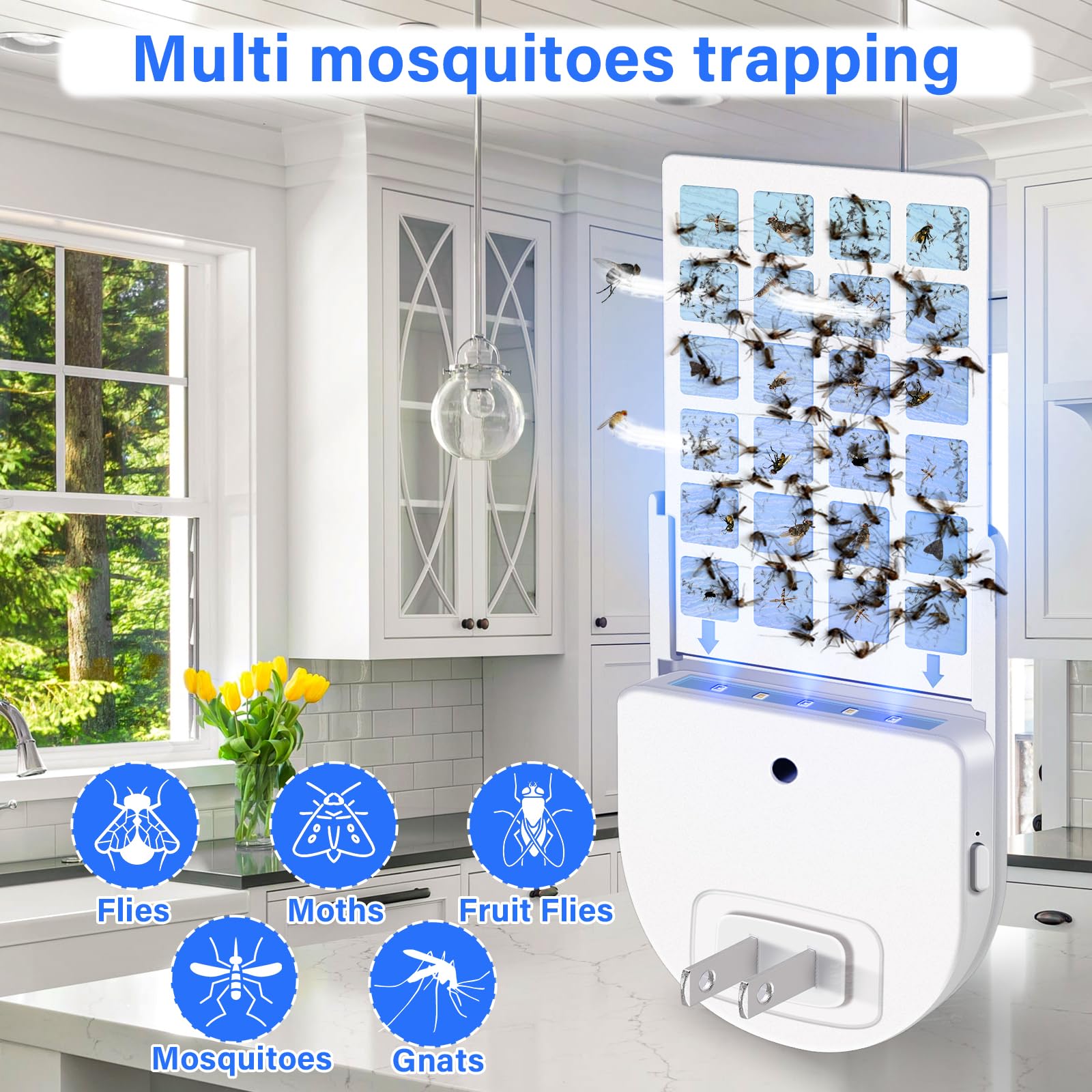Flying Insect Trap for Indoors - Plug in Bug Catcher, Fruit Fly Traps with UV Attractant Catcher and Night Light for Gnats, Bugs, Mosquito, Flies, Fruit Flies, White, 1 Device+5 Glue Cards