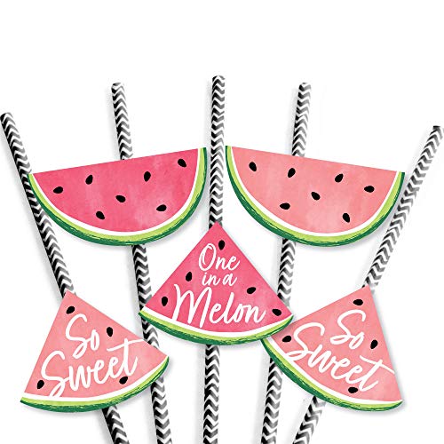 Big Dot of Happiness Sweet Watermelon - Paper Straw Decor - Fruit Party Striped Decorative Straws - Set of 24