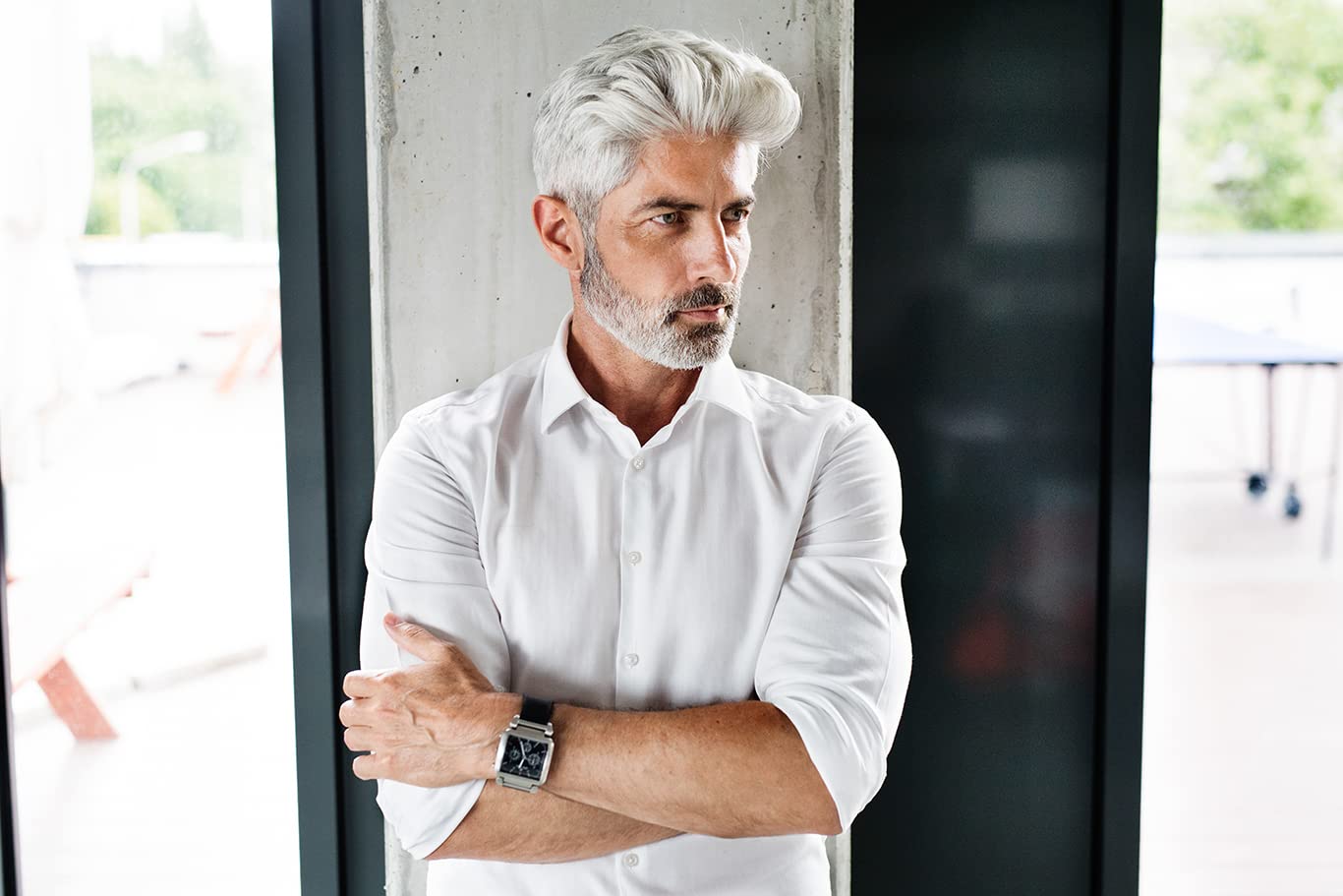Silver Fox Conditioner - 12 fl.oz.