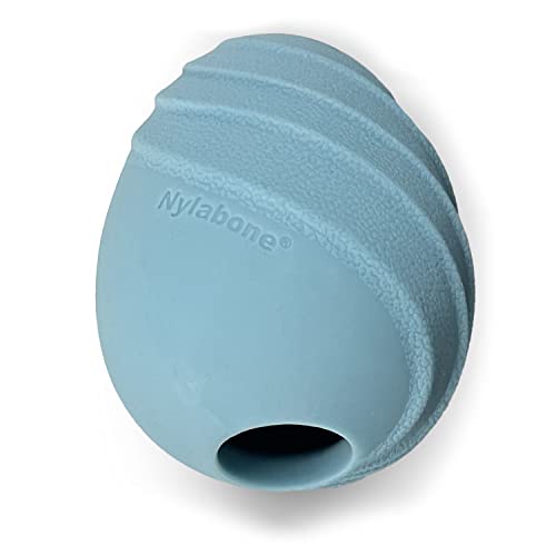 Nylabone Eggi Interactive Fillable Dog Chew Toy - Lightweight Bouncy Floatable Dog Treat Toy for Creative Play & Dog Exercise, Blue, Large/Giant - Up to 50 lbs. (1 Count)