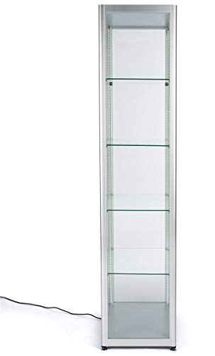 Displays2go Locking Glass Display Case, Illuminated – Silver (DCKDMT24S)