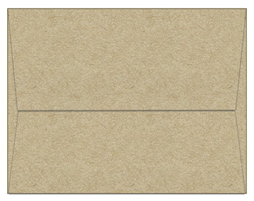 Note Card Cafe All Occasion Greeting Card Set with Gray Envelopes | 24 Pack | Blank Inside, Glossy Finish | Unique Hello Autumn Design | Bulk Set for Greeting Cards, Occasions, Birthdays