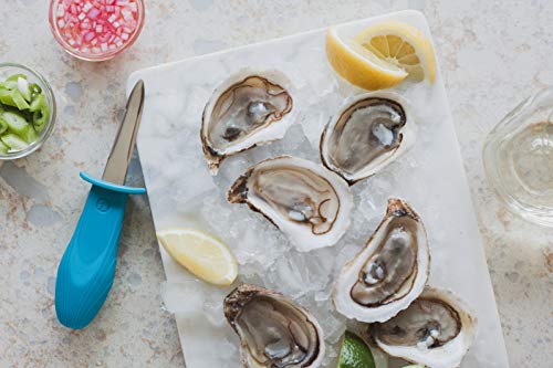 Trudeau Oyster Knife, One Size, Tropical