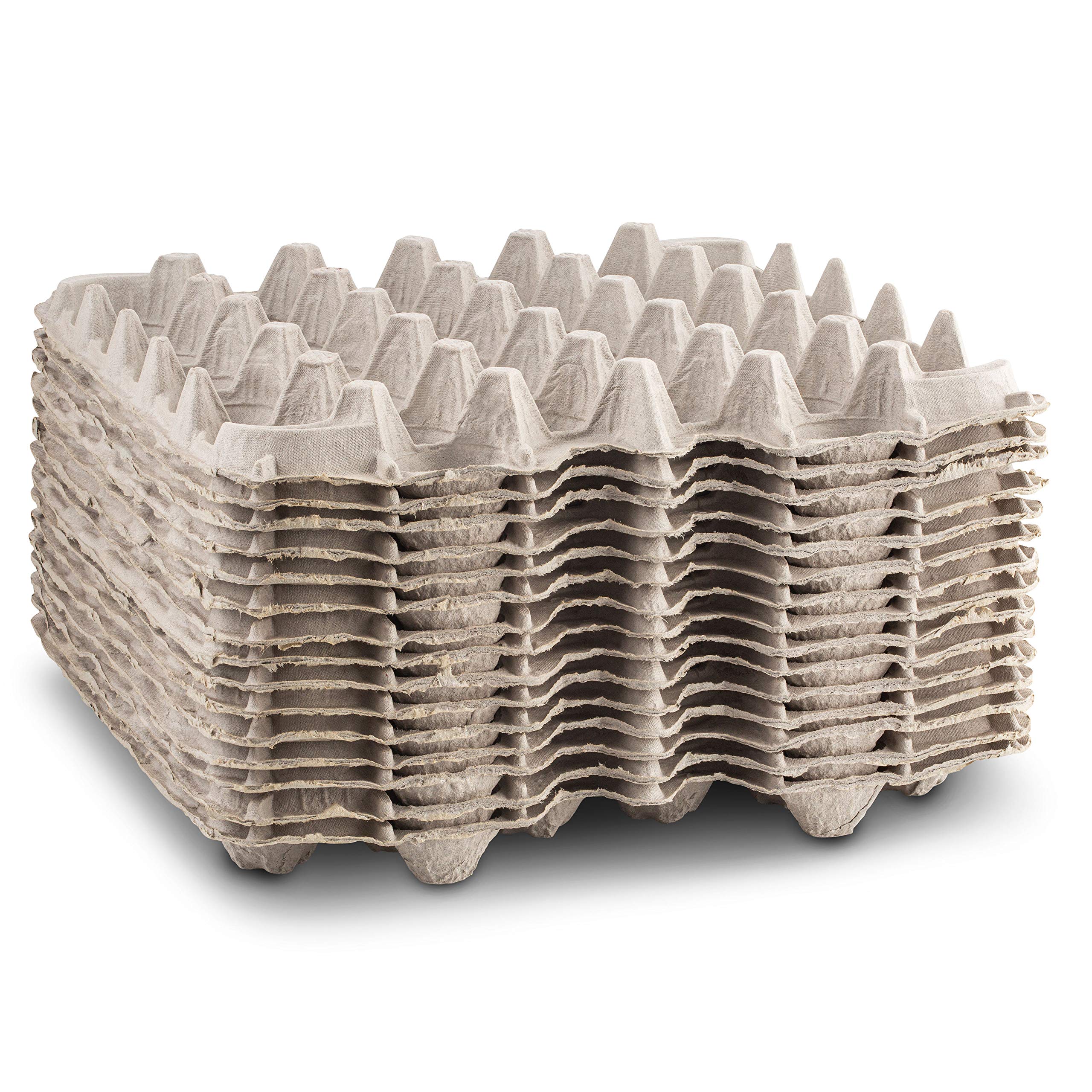 Blank Natural Pulp Egg Cartons Holds Up to Twelve Eggs - 1 Dozen (25 Pieces) and Biodegradable Pulp Fiber Egg Flats for Storing up to 30 Large or Small Eggs (15 Pieces) by MT Products