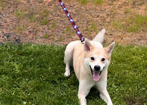 Moose Pet Wear Deluxe Dog Leash - Patterned Heavy Duty Pet Leashes, Made in The USA โ 1 Inch x 4 Feet, Rainbow Stripe