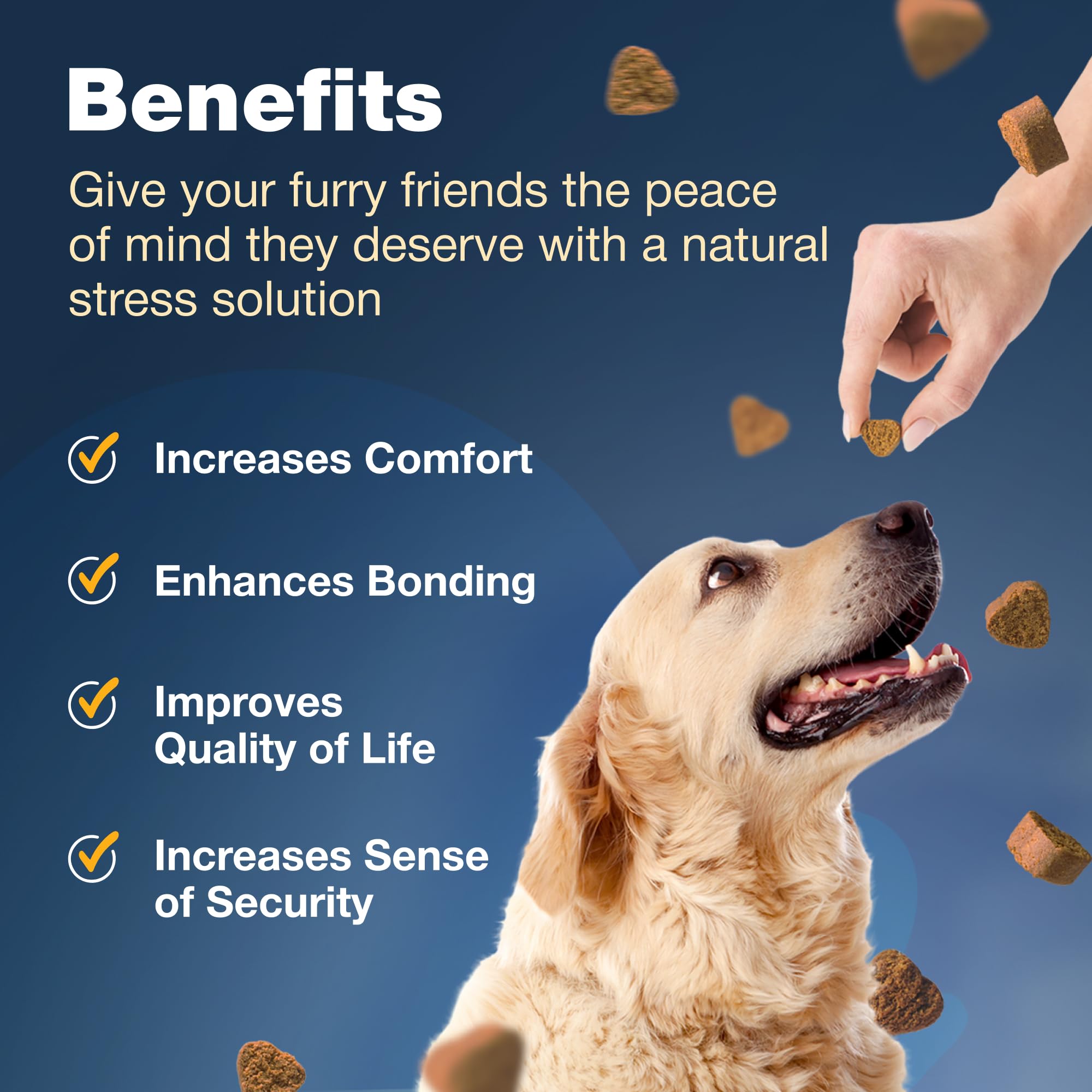 CHEWIA Travel Pack of Allergy Support Soft Chews for Dogs - All Breeds - Digestive Strength - Allergy & Immune Dog Supplement