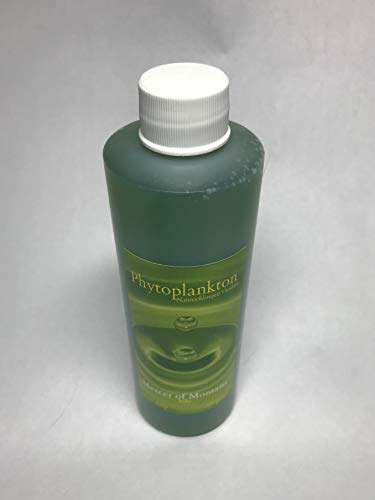 Live Marine Phytoplankton - 8oz Bottle