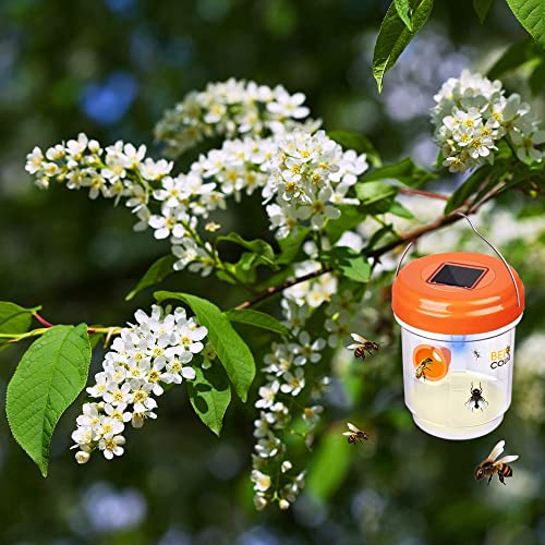 BEE COLINE Wasp Trap Outdoor Hanging - Solar Powered Bee Trap Outdoor - Wasp Killer for Wasps, Hornets, Fruit Flies, and Insects - Effective Insect Trap - Bee Killer and Yellow Jacket Trap Pack of 2