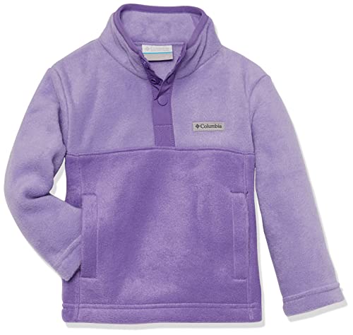 Columbia Toddler Unisex Steens Mountain 1/4 Snap Fleece Pull-Over, Grape Gum/Paisley Purple, 2T
